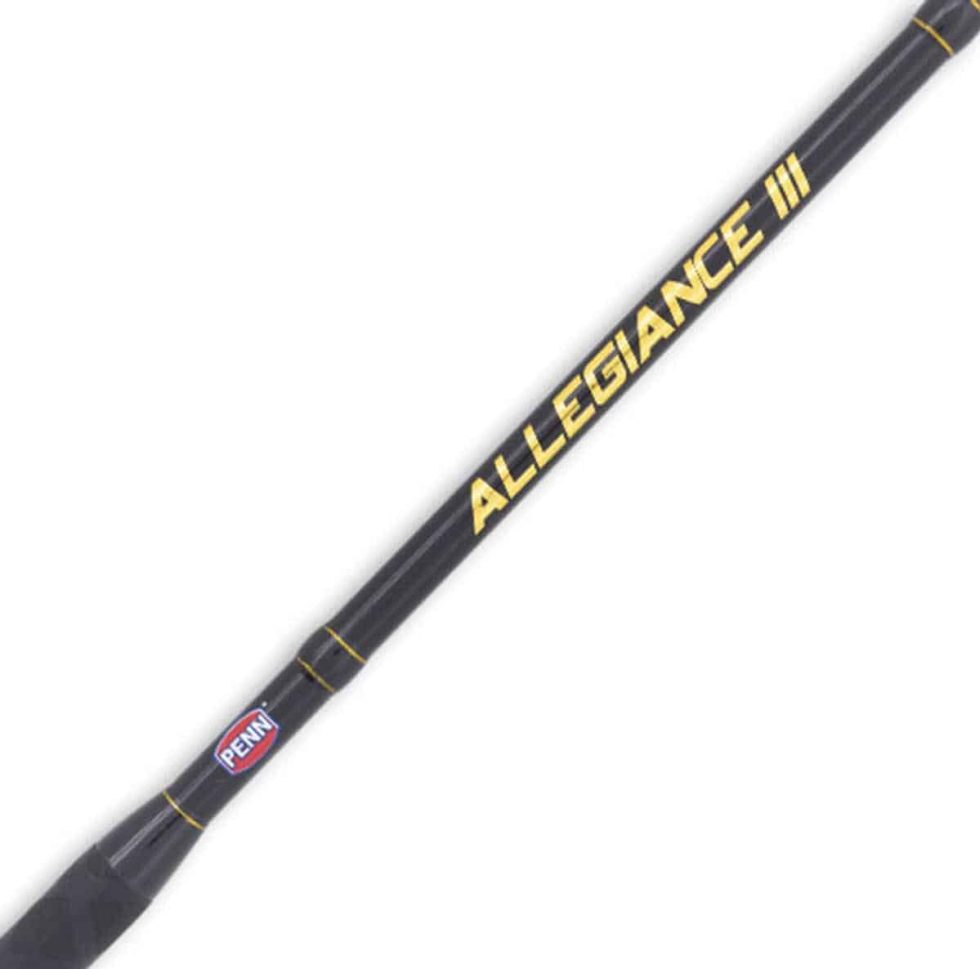 Best Beach Fishing Rod In 2023 | #1 Ultimate Guide