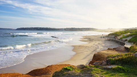 How To Catch Whiting Successfully | #1 Ultimate Guide For Land-Based ...