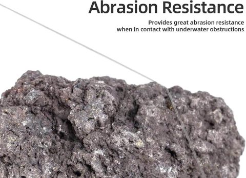 How To Catch Murray Cod: 12 Masterful Tips For Success