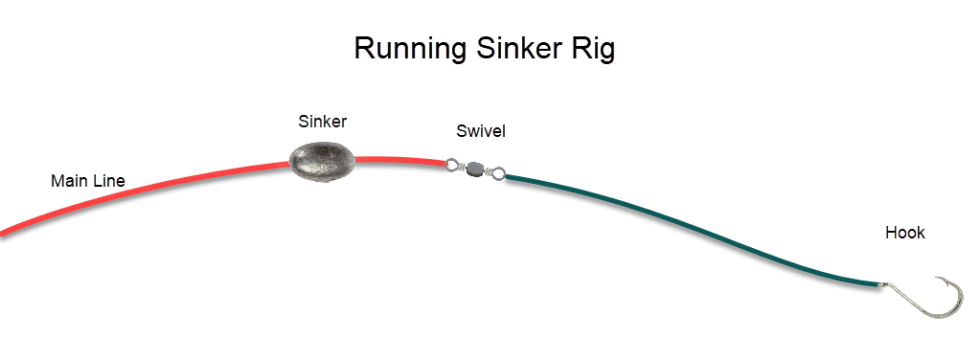 How To Catch Carp Successfully: 13 Tips & Tricks For Success