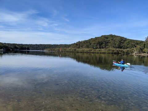 How To Catch Murray Cod: 12 Masterful Tips For Success