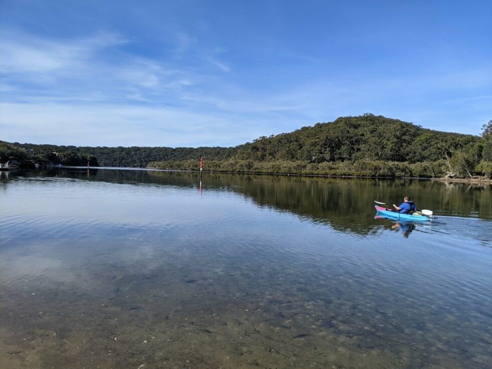 How To Catch Murray Cod: 12 Masterful Tips For Success