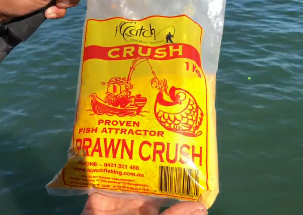 Learn How To Catch Garfish Like A Pro | 14 Insider Tips & Strategies ...