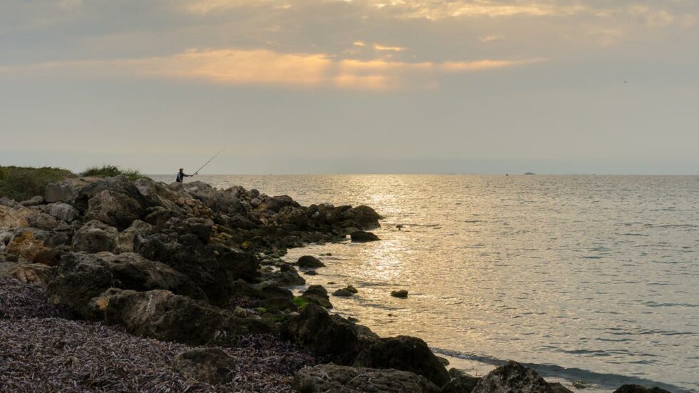 Explore The Top 18 Best Fishing Spots Perth Has To Offer