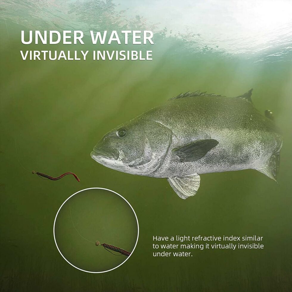 How To Catch Bonito: 13 Amazing Tips From Master Anglers