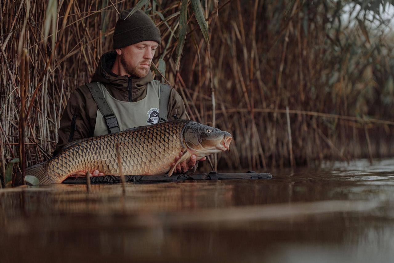 How To Catch Carp Successfully: 13 Tips & Tricks For Success